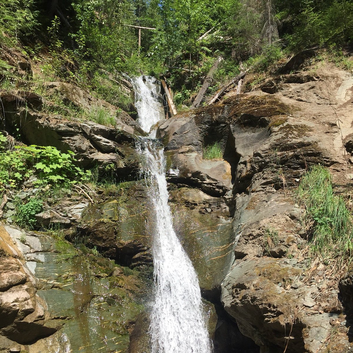 Evelyn Falls - Do The Shu